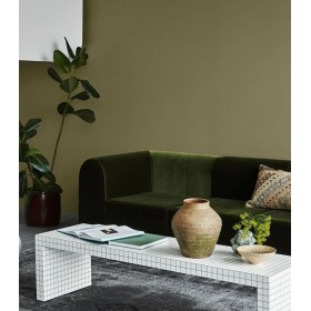 Pintura de Calidad para Interior | Pincolor